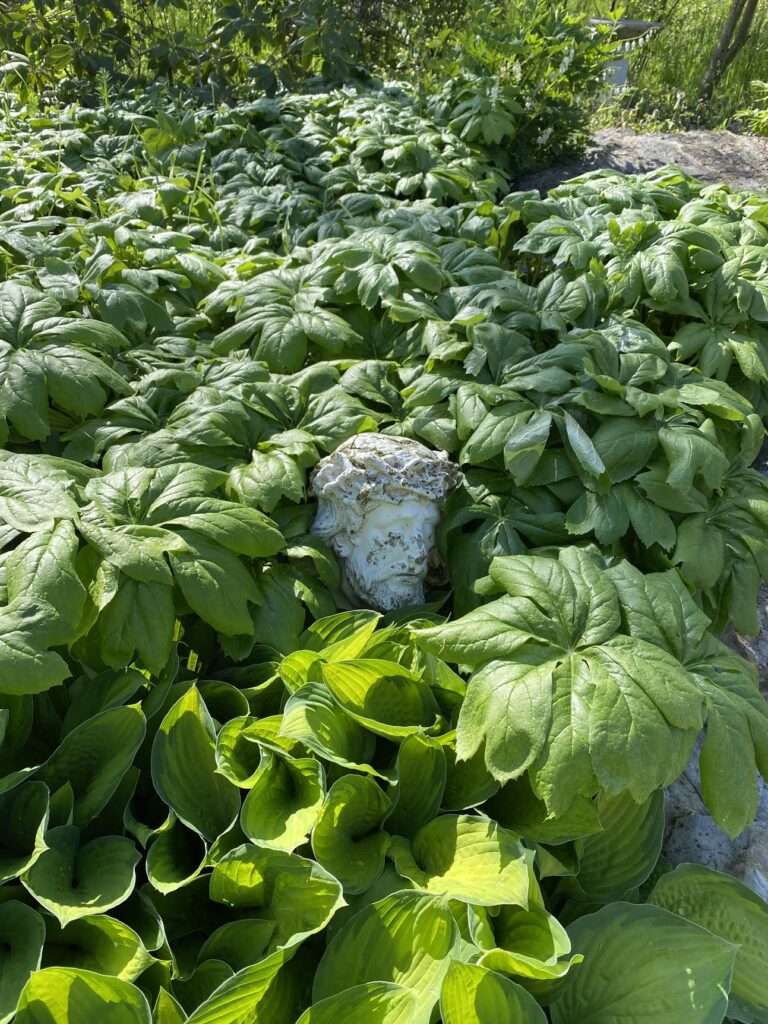 On The Way - Page 2 of 11 - The Rt. Rev. Audrey C. Scanlan